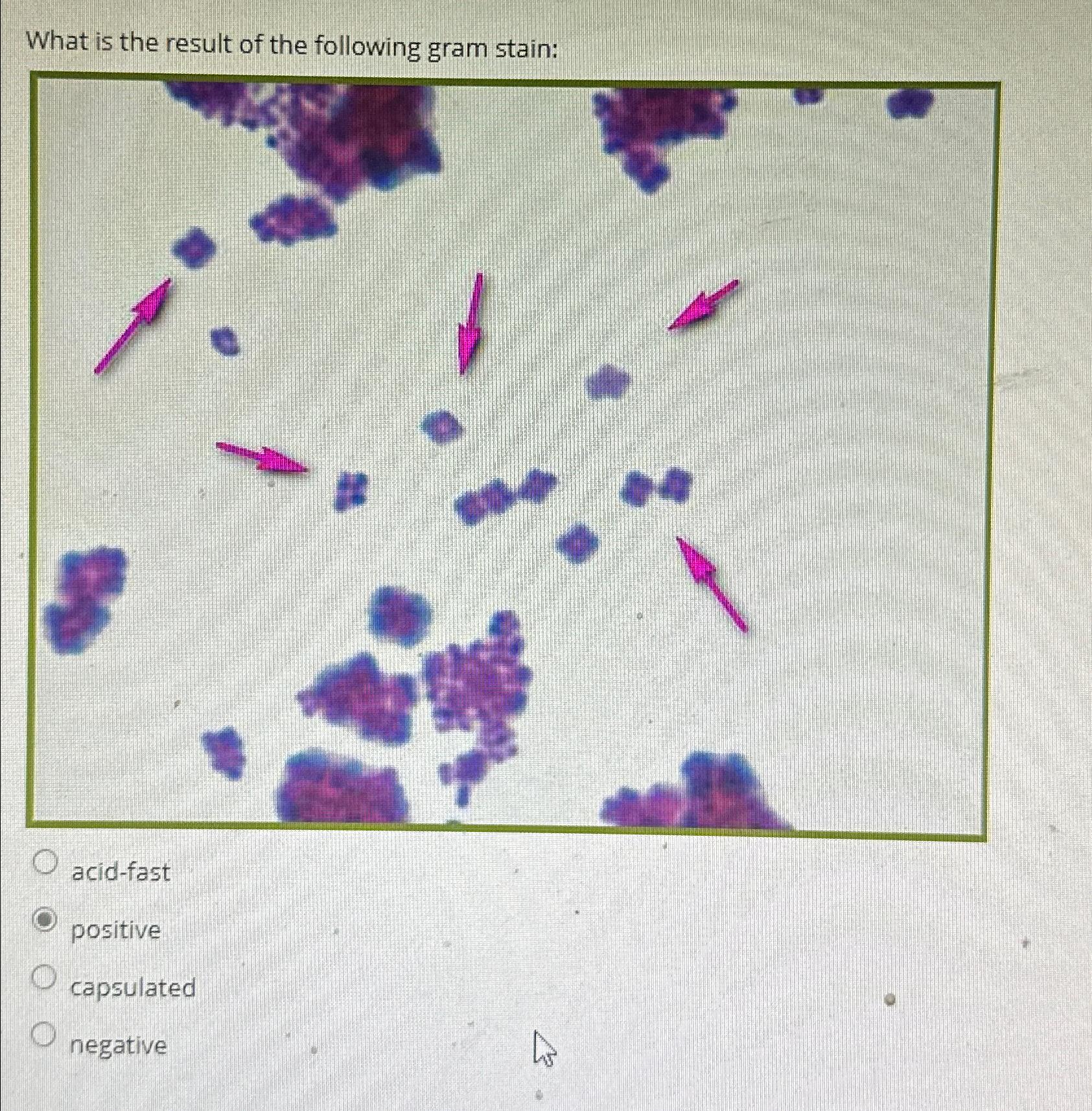 Solved What is the result of the following gram | Chegg.com