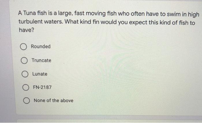 Solved A Tuna fish is a large, fast moving fish who often | Chegg.com