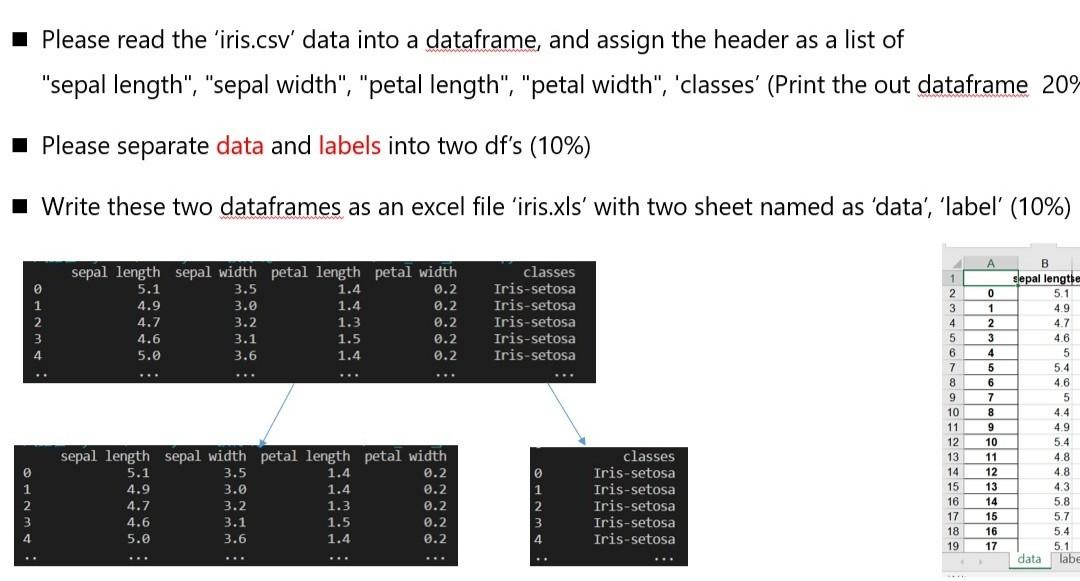 Solved Please read the 'iris.csv' data into a dataframe, and | Chegg.com