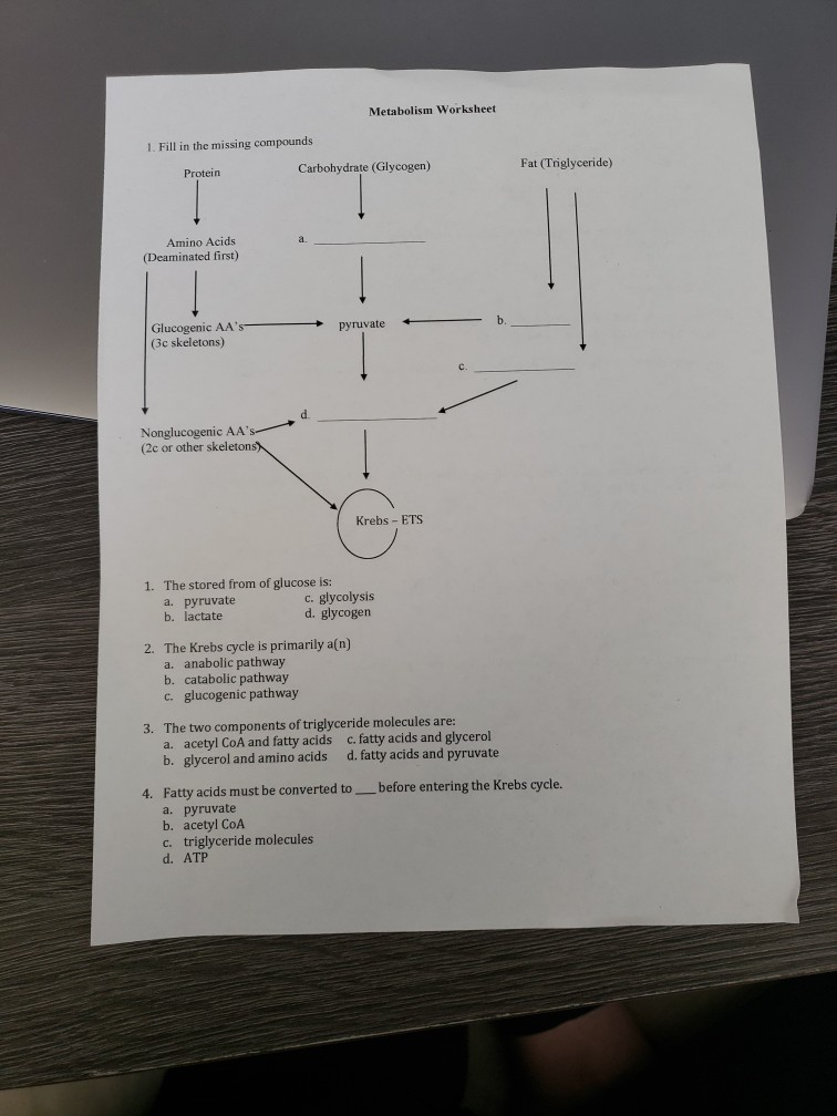 Solved Metabolism Worksheet 1. Fill in the missing compounds | Chegg.com