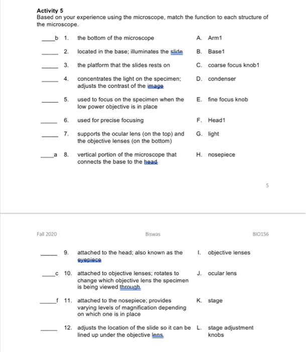 Solved Activity 5 Based on your experience using the | Chegg.com