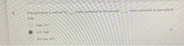 Solved PARTIAL Word Bank for the next question. Not all | Chegg.com
