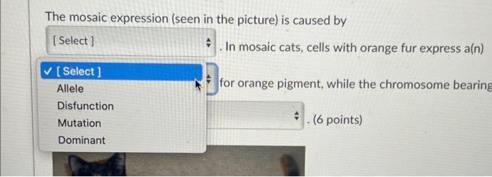 Solved The mosaic expression (seen in the picture) is caused | Chegg.com