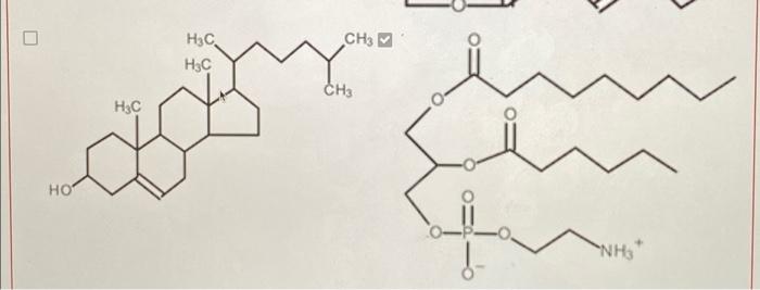 Solved Which of the compounds are hydrolyzable lipids? moni | Chegg.com