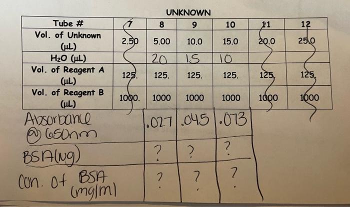 Solved 2. Use this equation to solve for the amount of BSA | Chegg.com