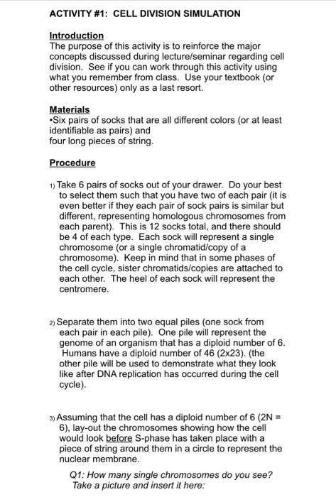 ACTIVITY #1: CELL DIVISION SIMULATION Introduction | Chegg.com