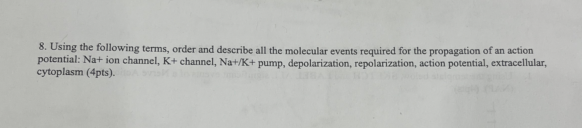 Solved Using the following terms, order and describe all the | Chegg.com