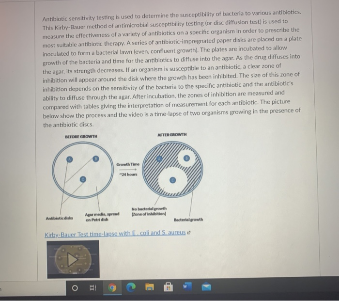 Solved Some Antimicrobial Agents Are cidal In Action They Chegg Solved Some Antimicrobial Agents Are cidal In Action They Chegg