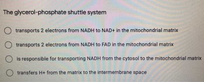 Solved The glycerol-phosphate shuttle system transports 2 | Chegg.com