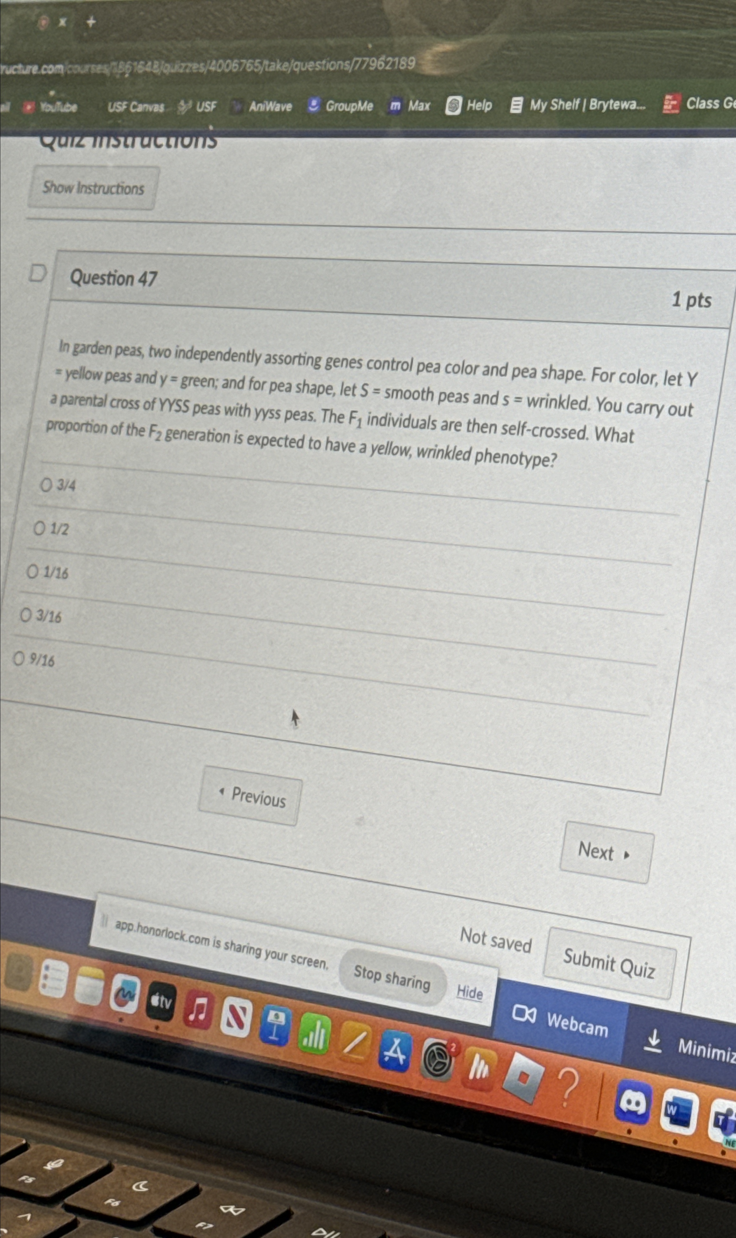 Solved rattseusf ConvasUSFAnWaveGroupMeMaxHelpMy Shelf / | Chegg.com