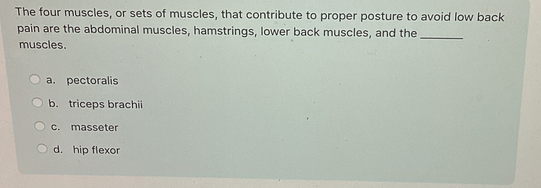 Solved The four muscles, or sets of muscles, that contribute | Chegg.com