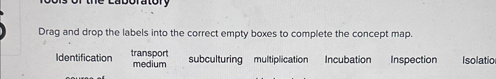 Solved Drag and drop the labels into the correct empty boxes | Chegg.com