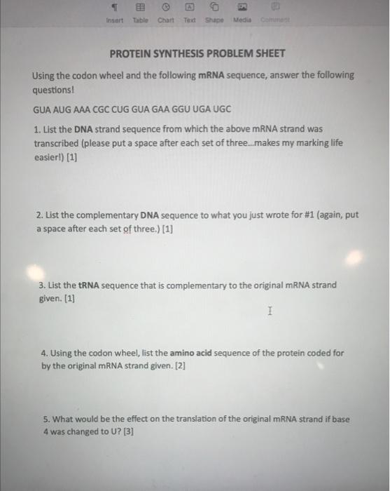 Solved B Insert tible Chant Terd Shape Media PROTEIN | Chegg.com