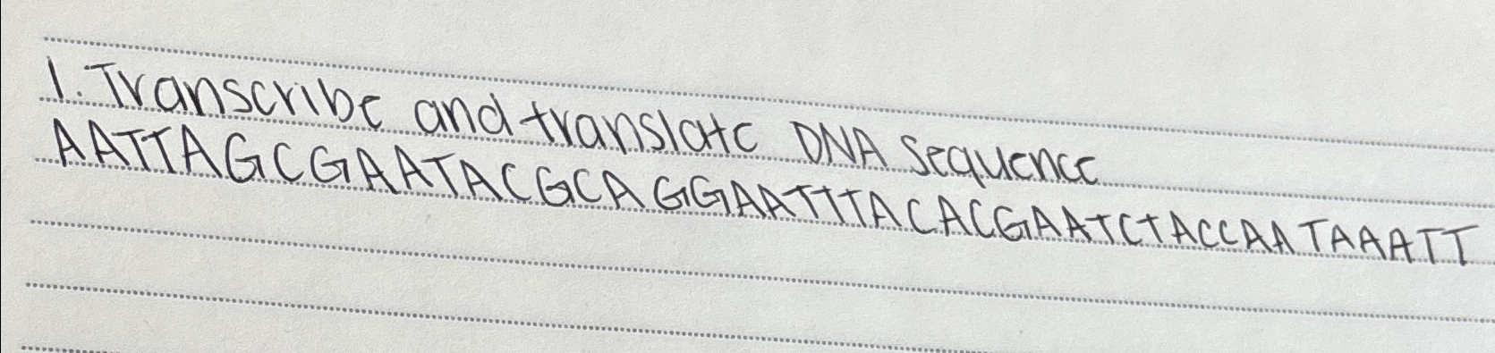 Solved Transcribe and translate DNA Sequence | Chegg.com Solved Transcribe and translate DNA Sequence | Chegg.com