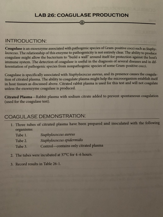 Solved LAB 26: COAGULASE PRODUCTION INTRODUCTION: Coagulase | Chegg.com