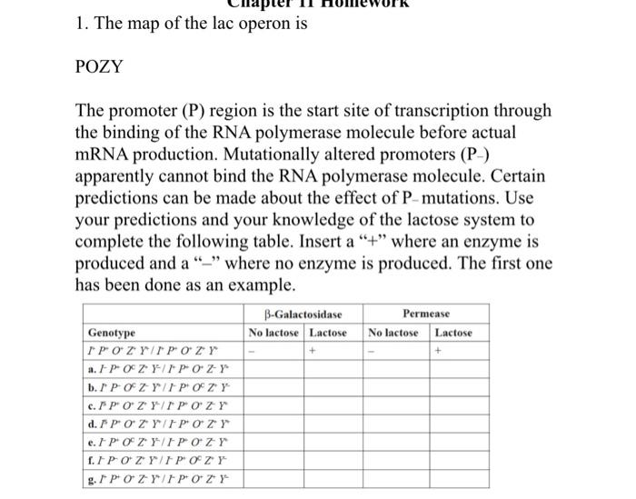 Solved POZY The promoter (P) region is the start site of | Chegg.com