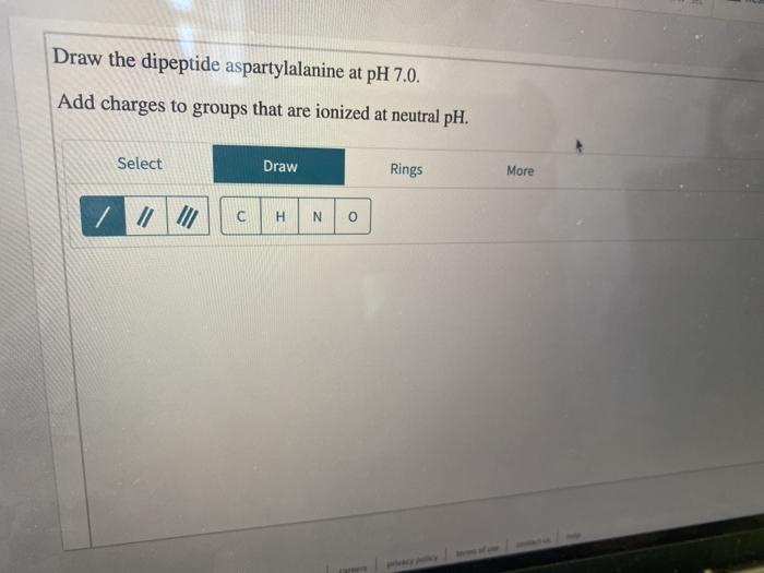 Solved Draw the dipeptide aspartylalanine at pH 7.0. Add | Chegg.com