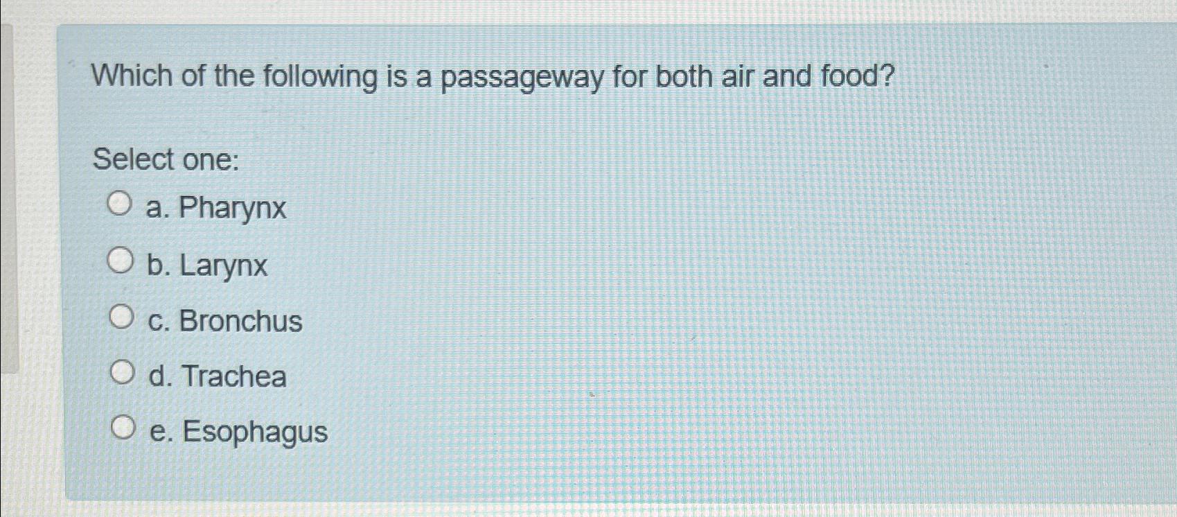 Solved Which of the following is a passageway for both air | Chegg.com