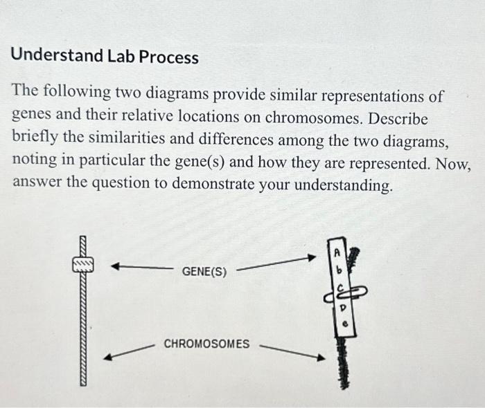 Refer to Table 5 in the corresponding lab exercise to | Chegg.com
