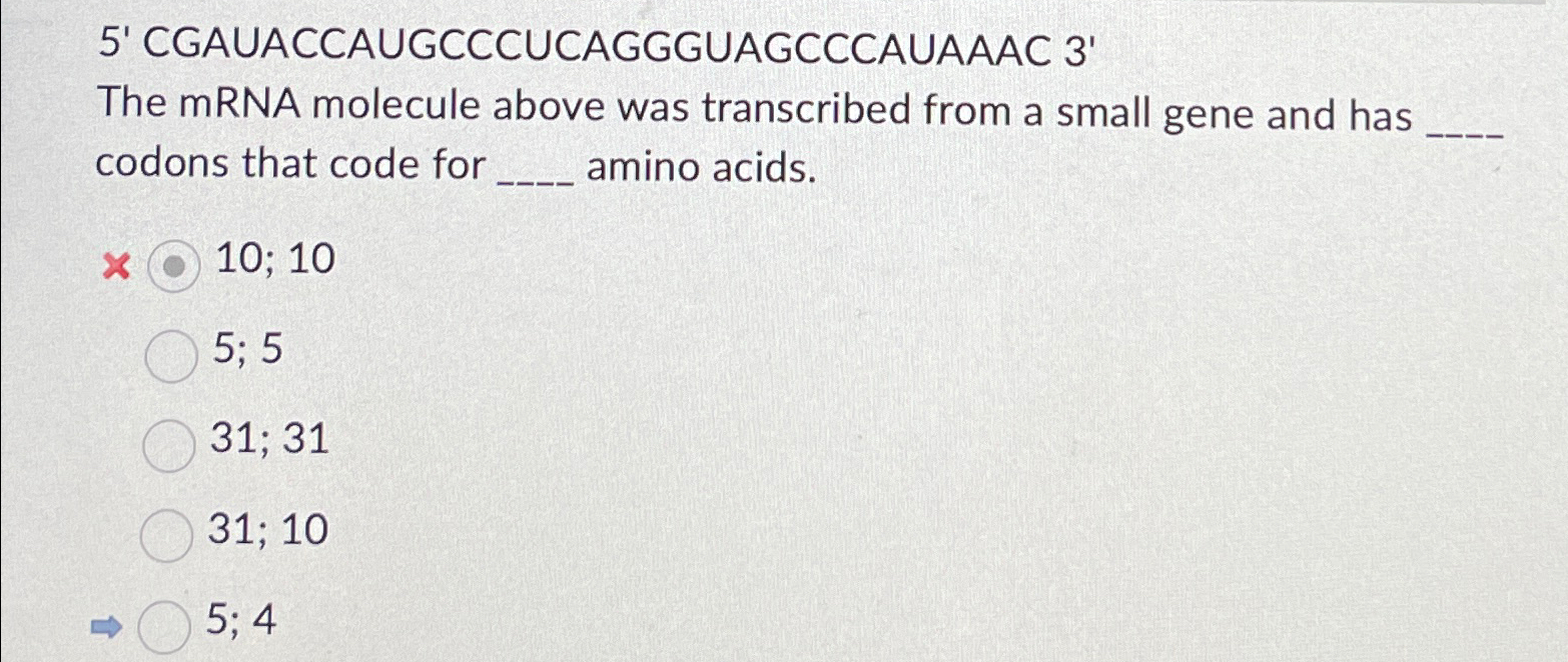 Solved Could someone please explain why the answer is 5;4? | Chegg.com