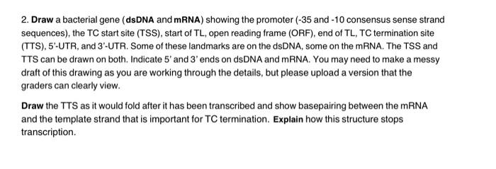 Solved 2. Draw a bacterial gene ( d sDNA and mRNA) showing | Chegg.com