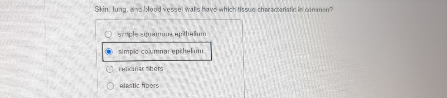 Solved Skin, lung, and blood vessel walls have which tissue | Chegg.com