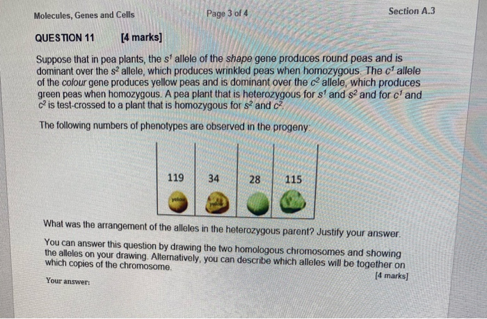 Solved Paragraph Styles Editing QUESTION 1 [8 marks) a) The | Chegg.com
