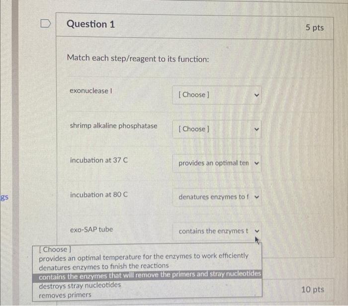 Solved Match each step/reagent to its function: exonuclease | Chegg.com