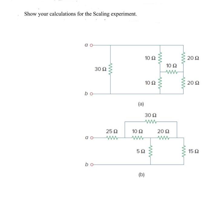 Solved Show your calculations for the Scaling experiment. | Chegg.com