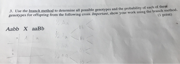 Solved 3. Use the branch method to determine all possible | Chegg.com