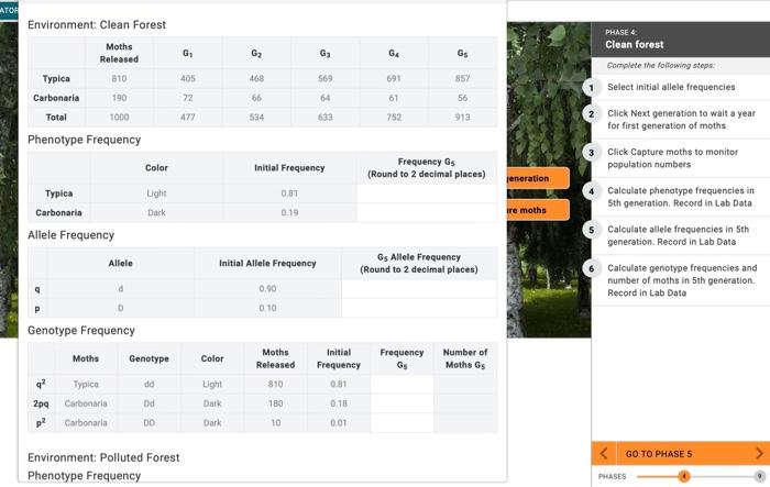 Solved Environment: Clean Forest Phenotype Frequency Allele | Chegg.com