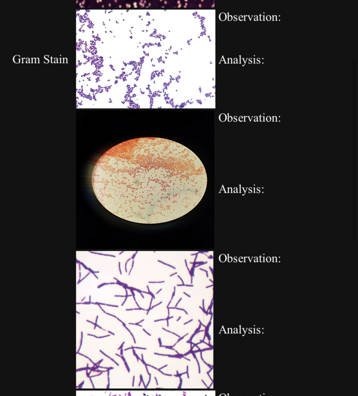 Solved Lab 9 - ﻿Microbiology AssignmentQuestion 1: Bacteria | Chegg.com