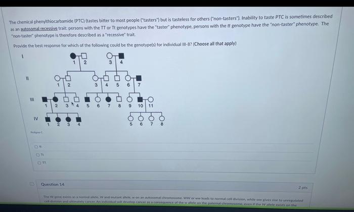 Solved The chemical phenylthiocarbamide (PTC) (tastes bitter | Chegg.com