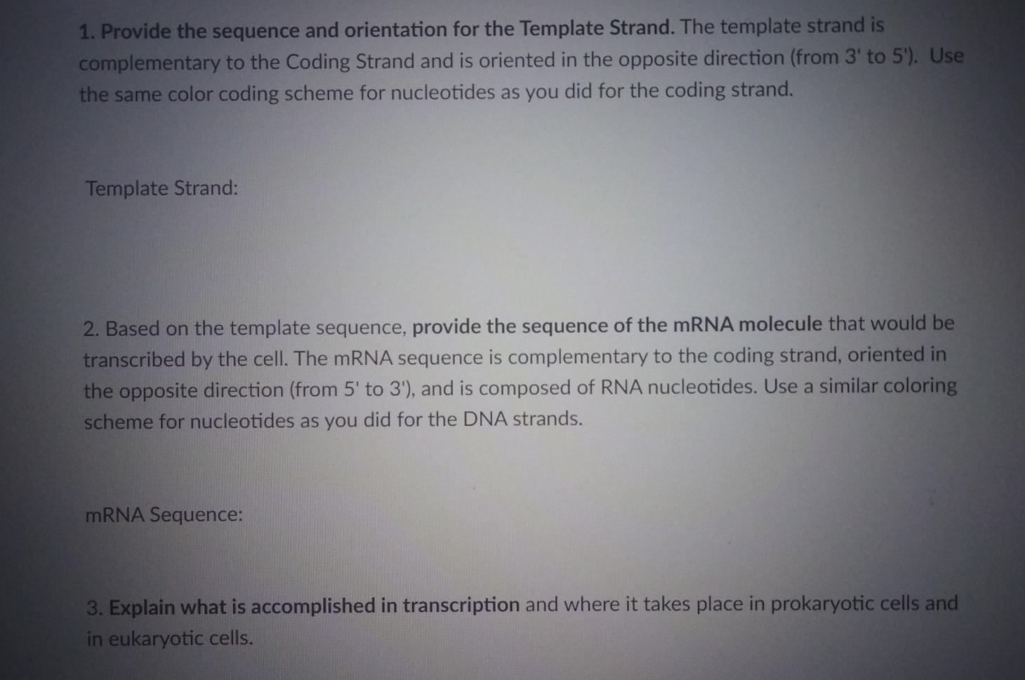 Solved Part 1: Transcribe a small fragment of DNA (3 pts) | Chegg.com