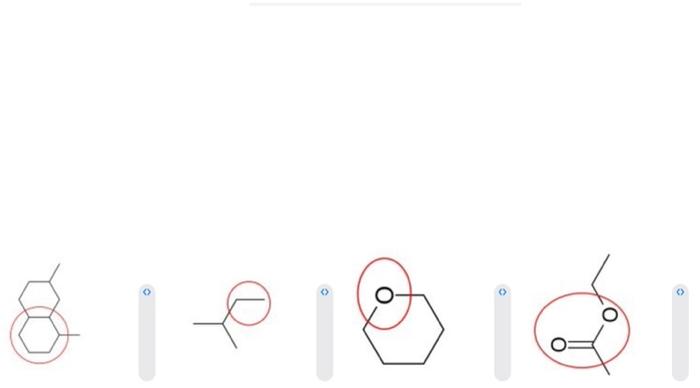 Solved Identify each functional group circled on the | Chegg.com