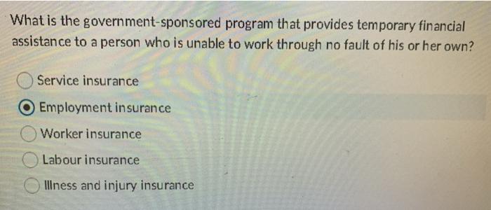 Solved What is the government-sponsored program that | Chegg.com