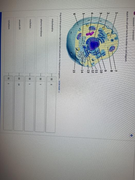 Solved Exercise 4: Post Lab Question 8 Homework - Unanswered | Chegg.com