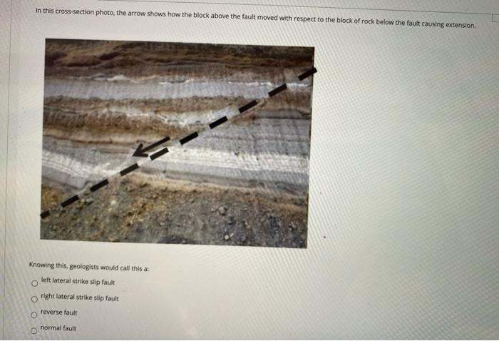 Solved In this cross-section photo, the arrow shows how the | Chegg.com