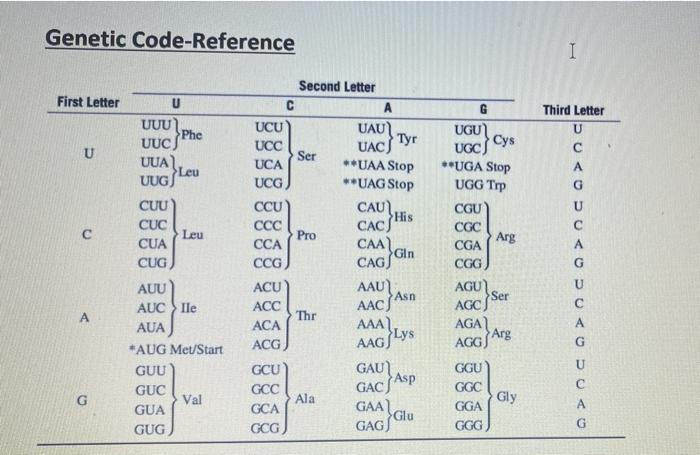 Solved 21. Using the provided "Genetic Code Reference" (next | Chegg.com
