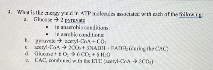 Solved What Is The Energy Yield In Atp Molecules Associated