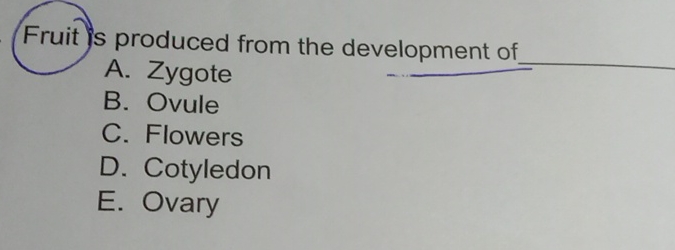 Solved Fruit is produced from the development ofA. ﻿ZygoteB. | Chegg.com