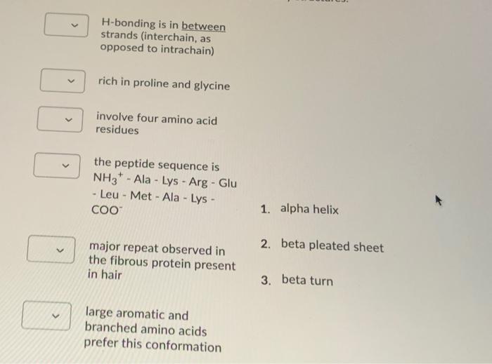 Solved > H-bonding is in between strands (interchain, as | Chegg.com