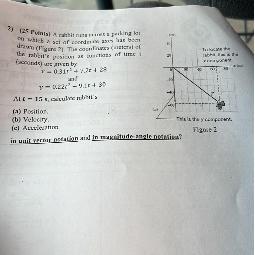 Solved (25 ﻿Points) ﻿A rabbit runs across a parking lot on | Chegg.com