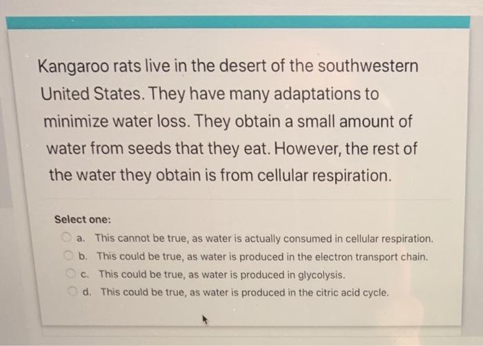 Solved Kangaroo rats live in the desert of the southwestern | Chegg.com