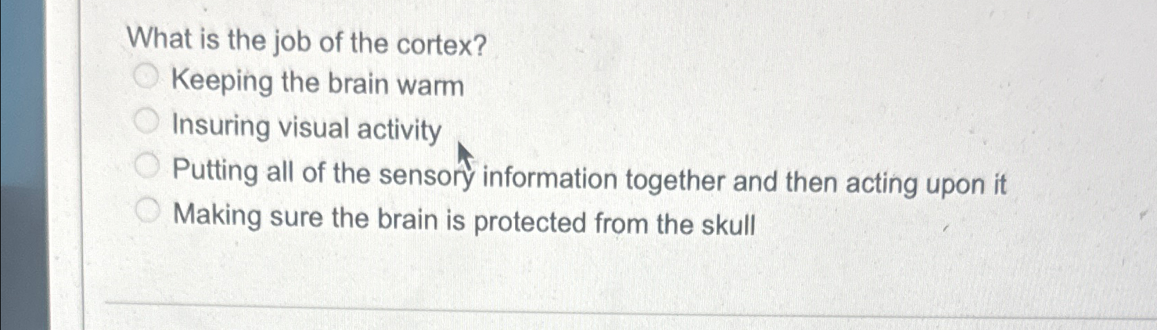 Solved What is the job of the cortex?Keeping the brain | Chegg.com