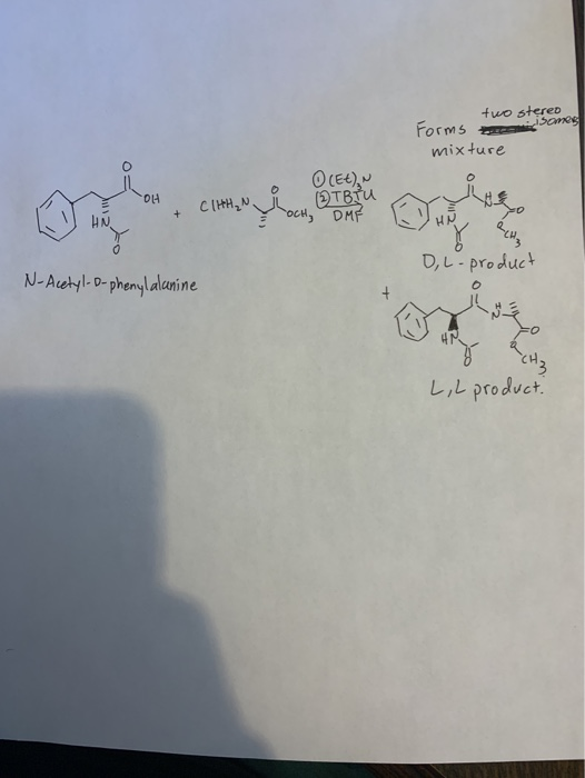 Solved This is a dipeptide synthesis using | Chegg.com