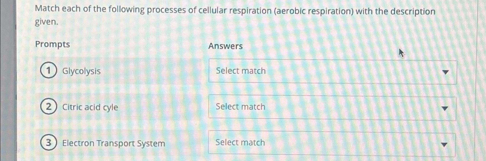 Solved Match each of the following processes of cellular | Chegg.com