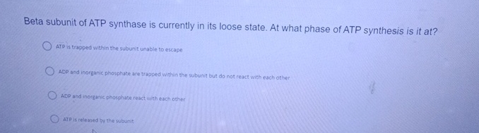 Solved Beta subunit of ATP synthase is currently in its | Chegg.com