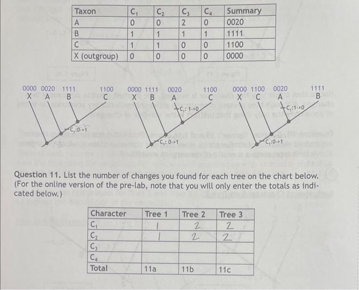 Solved Please draw out all the character changes for each of | Chegg.com