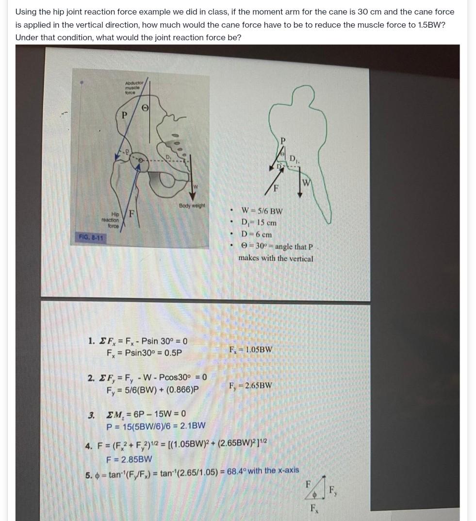Solved Using the hip joint reaction force example we did in | Chegg.com